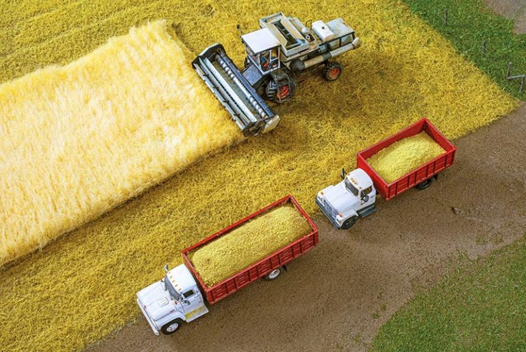 Harvest Time: Modeling a Modern Midwestern Wheat Harvest - Railroad ...